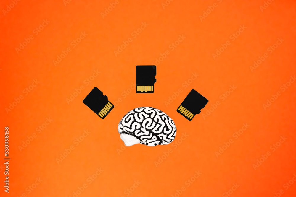 Small model of a human brain model and three memory cards lying on an ...