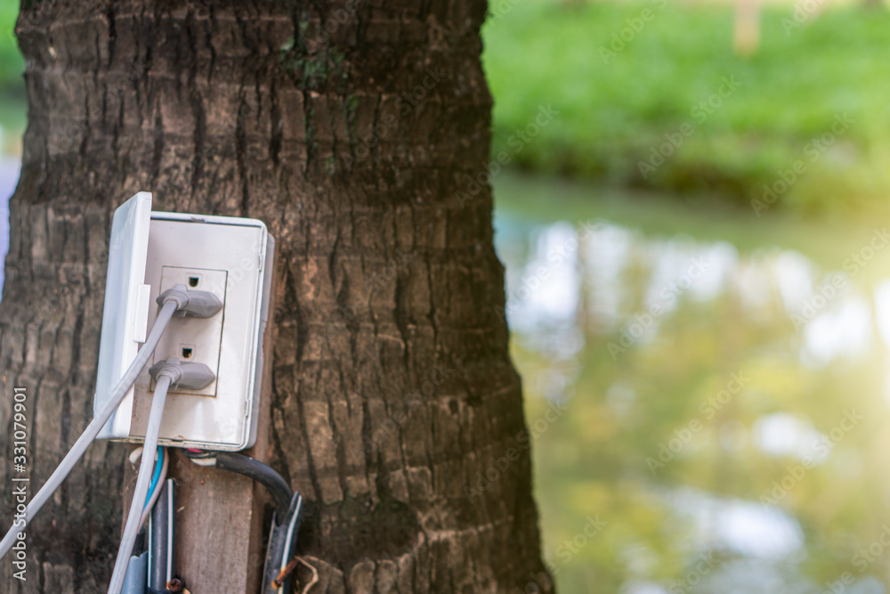 Stock-Foto „Local exteria electricity plug install on plam tree near ...