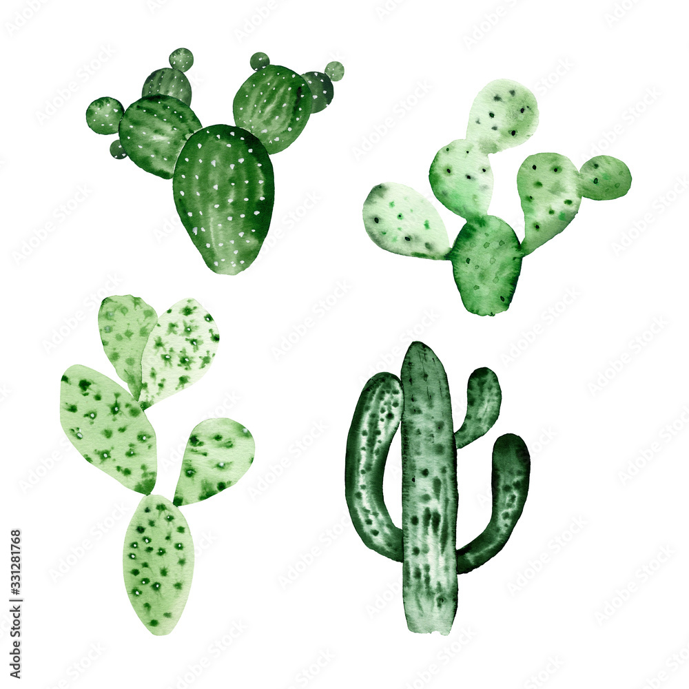 ภาพประกอบ Stock Watercolor isolated green cactus clipart. Watercolor ...