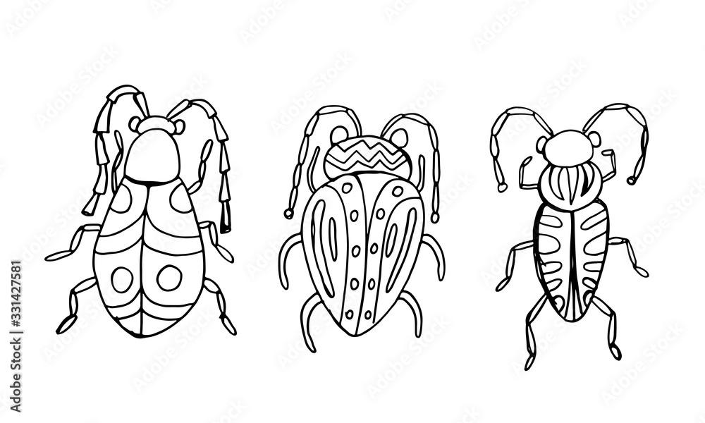 Danger Insect vector set. Web sign kit of line bugs. Beetle pictogram ...