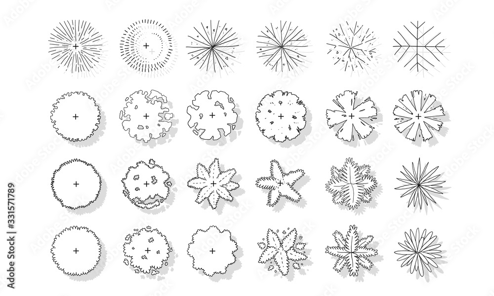 vector of top view tree set, hand drawn sketch on white background ...