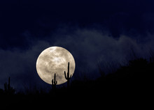Moon Over Arizona Free Stock Photo - Public Domain Pictures