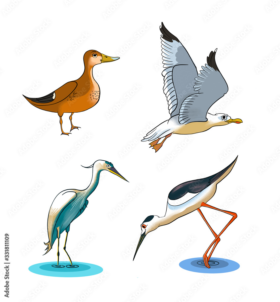 Cartoon drawing of some wetlands birds Stock Illustration | Adobe Stock