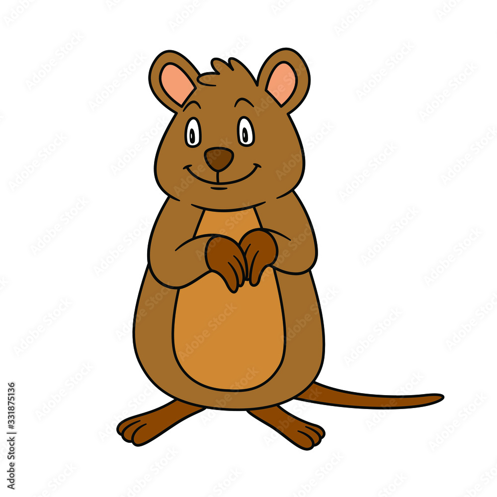 animal Quokka. Vector illustration. For pre school education ...