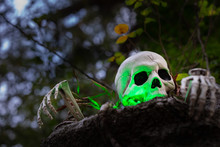 Glowing Green Skull Free Stock Photo - Public Domain Pictures