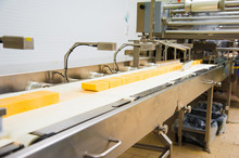 Cheese Production Free Stock Photo - Public Domain Pictures
