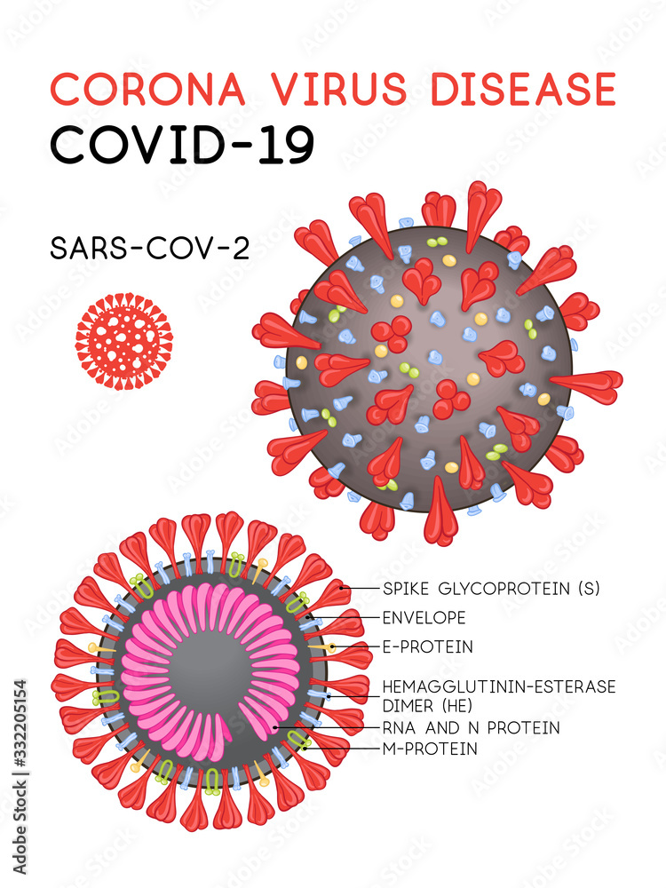 Image vectorielle Stock Corona virus disease covid-19, sars-cov-2 cell ...