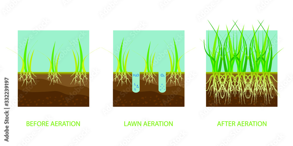 Lawn aeration. Process of aeration before and after, lawn grass care ...