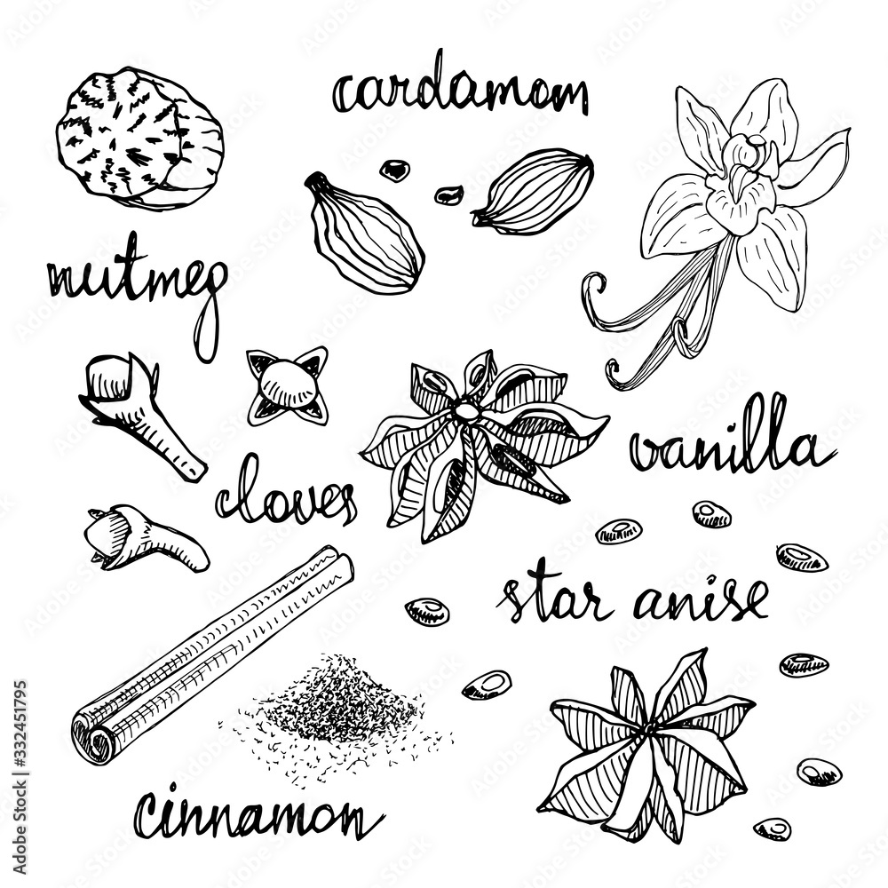 Set of spices: nutmeg, cardamom, cloves, vanilla, star anise, cinnamon ...