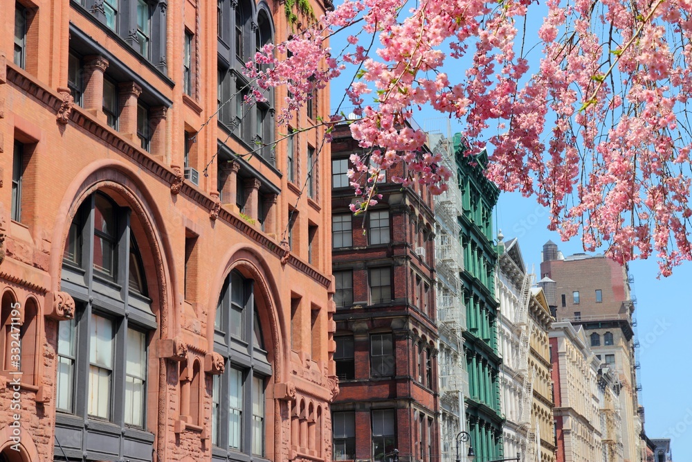 Soho, New York - spring time cherry blossoms Stock Photo | Adobe Stock