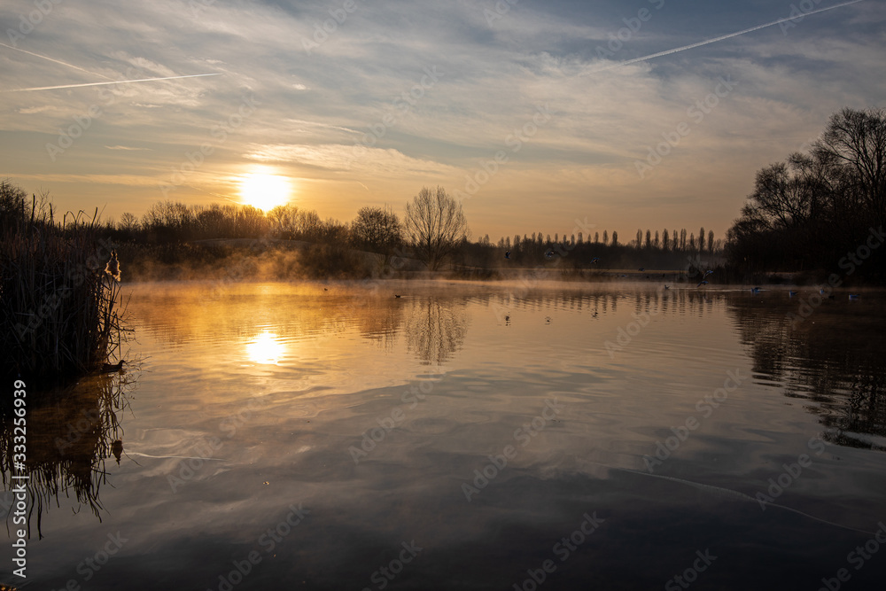 tramonto al lago Parco Nord Milano Stock Photo | Adobe Stock