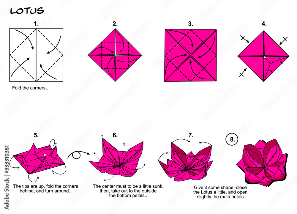 Origami lotus flower diagram paper folding steps Stock Illustration ...