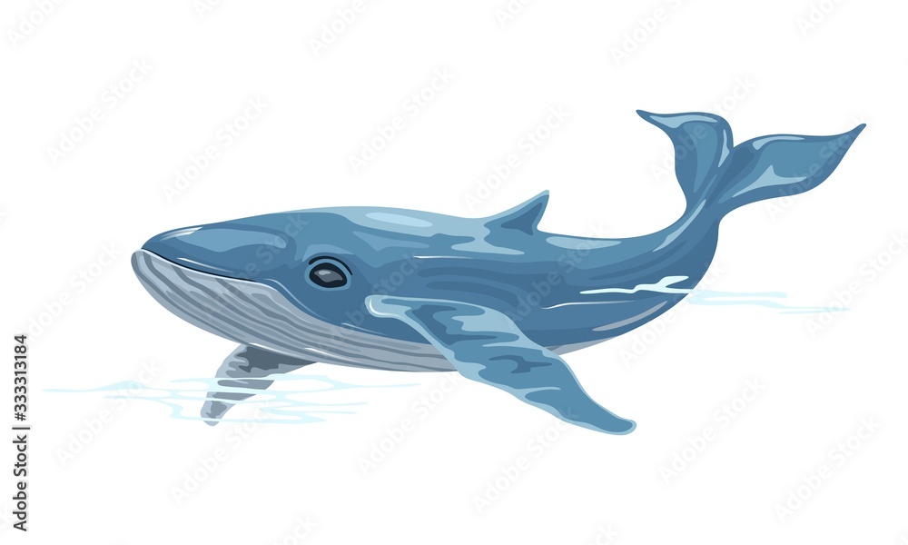 Vector de Stock Whale is aquatic placental marine mammal with ...
