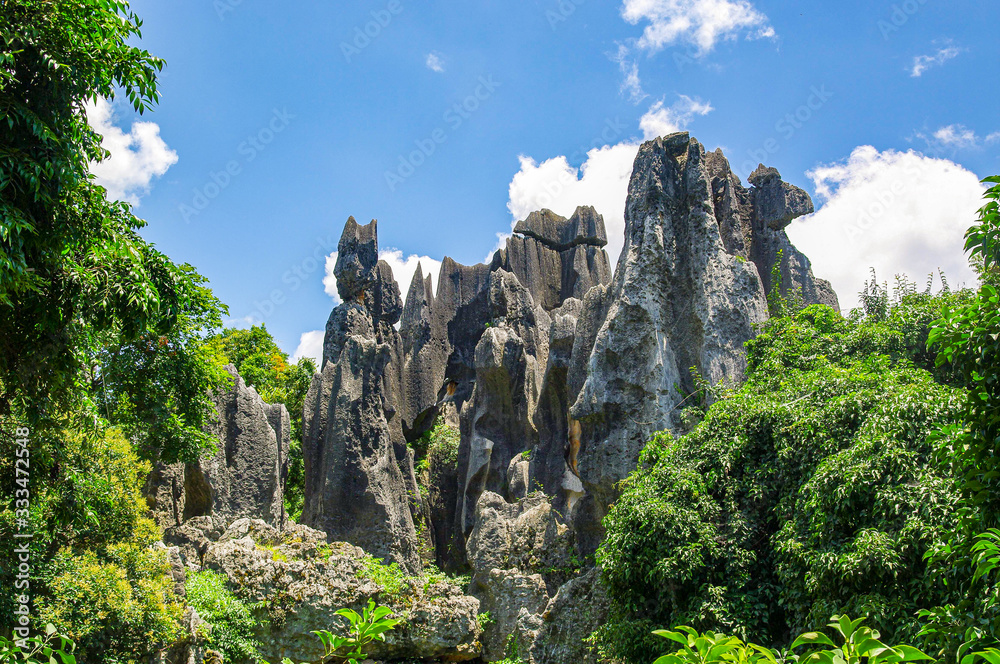 Naigu Shilin limestone pinnacles Stone Forest, Kunming Yunnan China ...