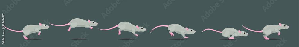 Mouse or rat running animation loop. Animated 2D character in a cartoon ...