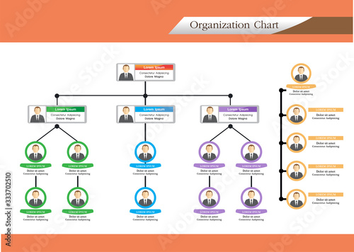 Organization Chart Infographics Stock Vector | Adobe Stock