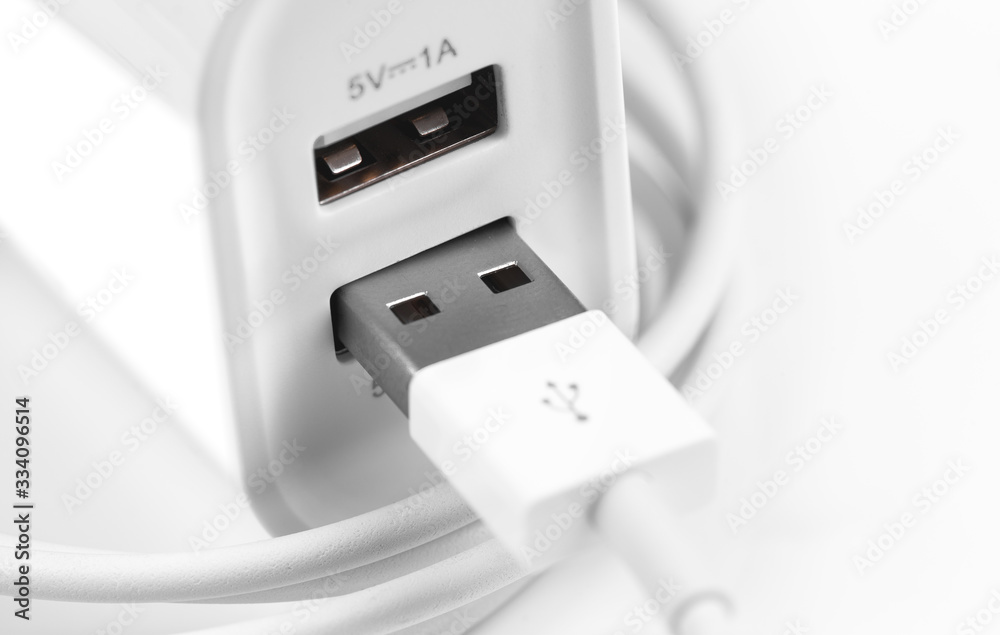 USB charger connector cable input and USB (5V 1A) ports on the white ...