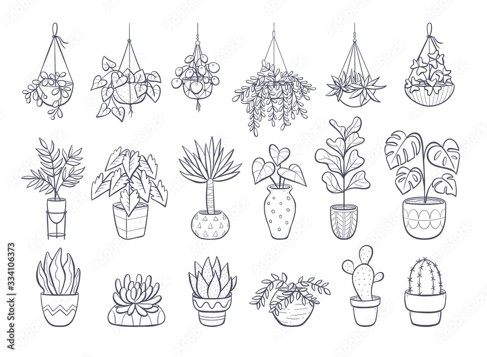 Collection of houseplants isolated on white background. Set of ...