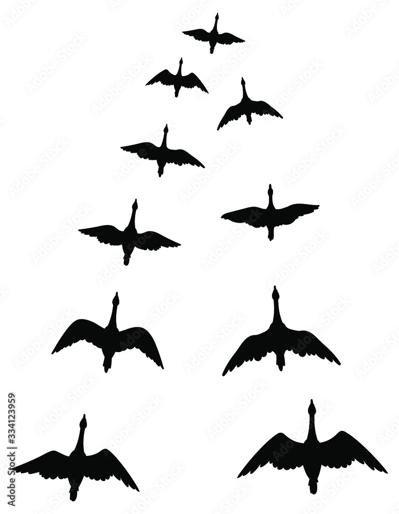 Flock of ducks. A cartoon flock of birds. Vector illustration of flying ...
