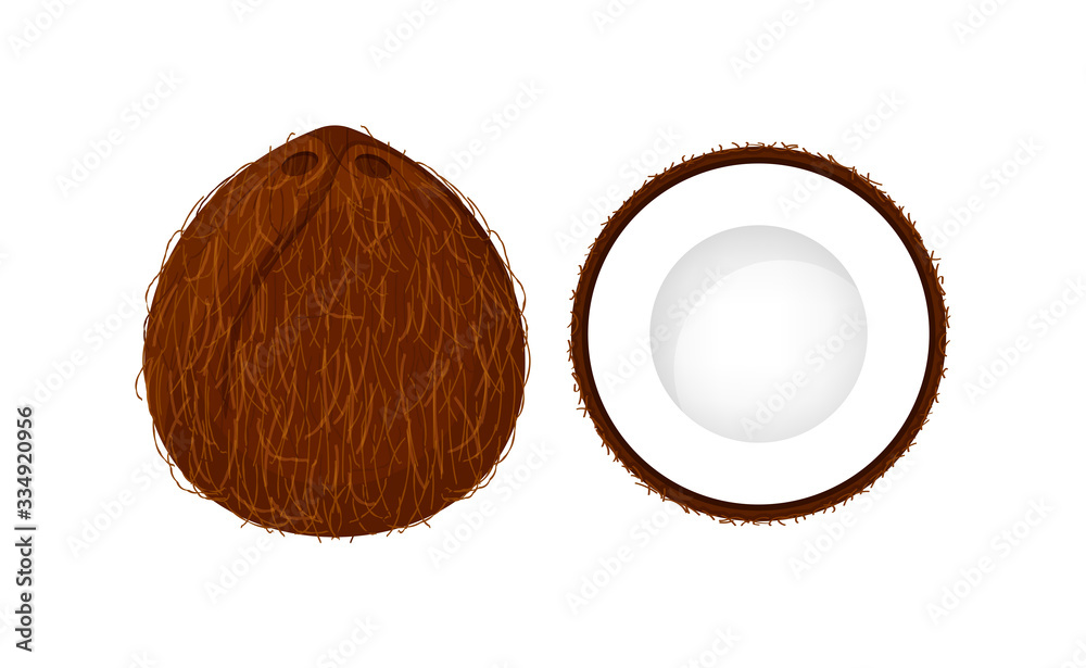 coconut brown fruit and half cut isolated on white background ...