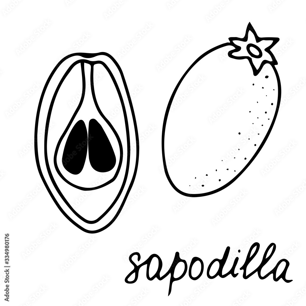 Hand drawn vector isolated food icon. Black outline illustration of ...