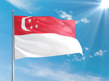 National Flag Of Singapore Themes Free Stock Photo - Public Domain Pictures
