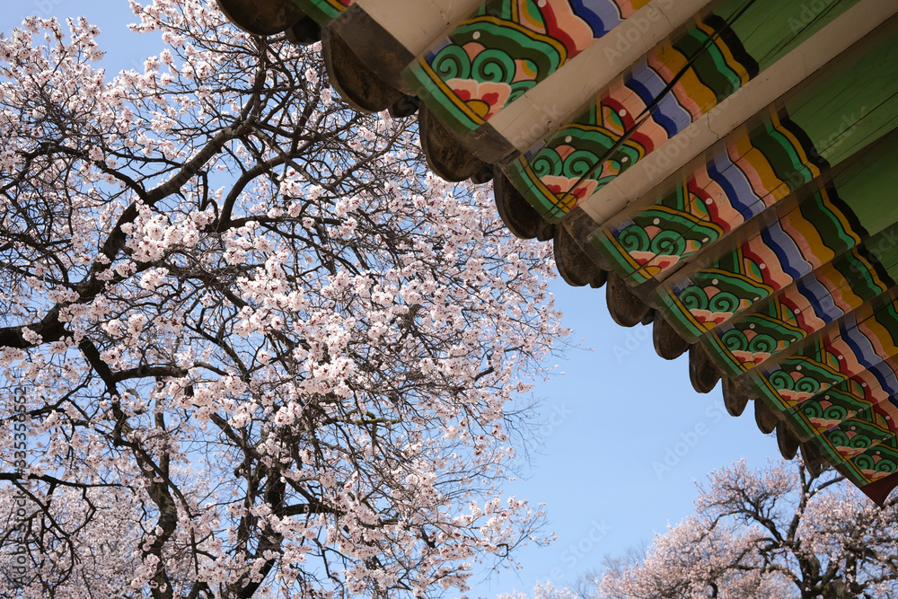 Kyeongbokgung Palace (Main Royal Palace of Joseon Dynasty) and its ...
