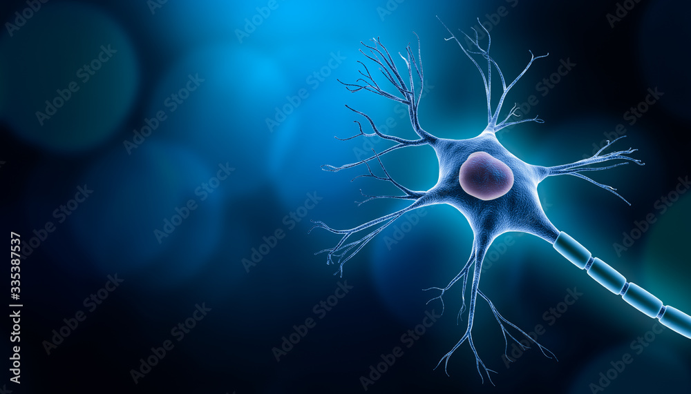 Neuron cell body with nucleus design, 3D rendering illustration with ...