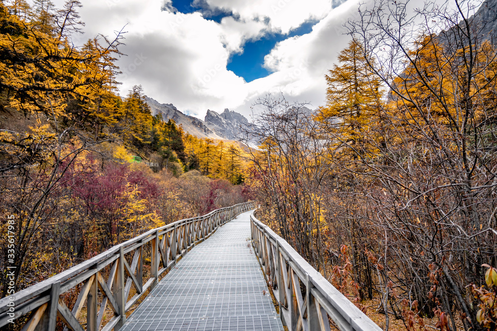 Nature landscape river in pine forest mountain valley,Snow Mountain in ...
