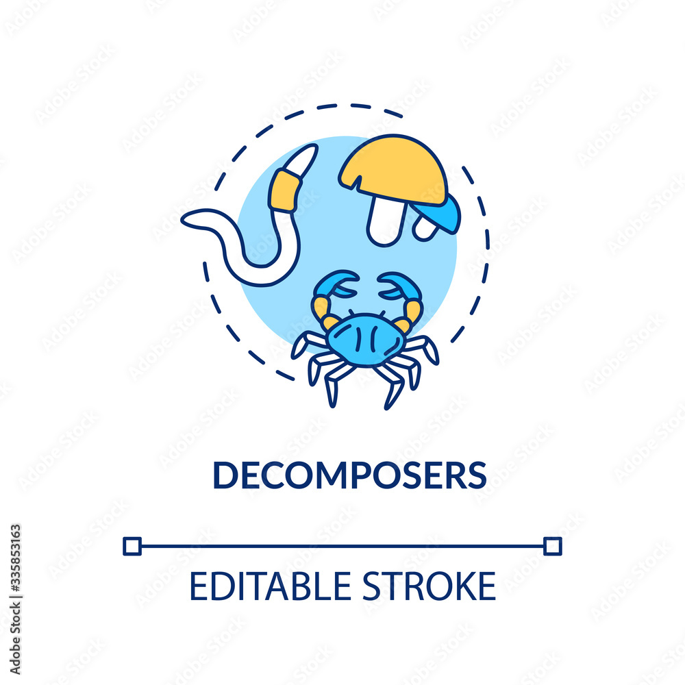 Decomposers concept icon. Food chain final link, reducers. Biological ...