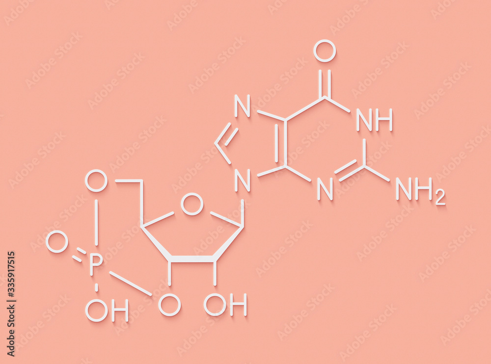 Cyclic guanosine monophosphate (cGMP) molecule. Important second ...