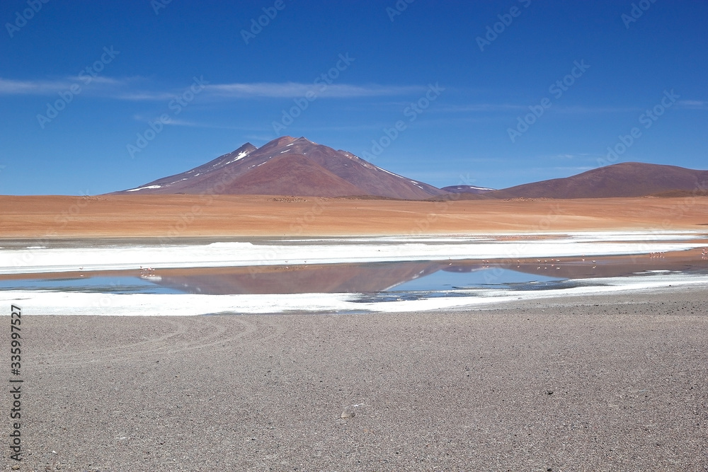 Santa Maria Lagoon at the Puna de Atacama with volcano Carachi Pampa in ...