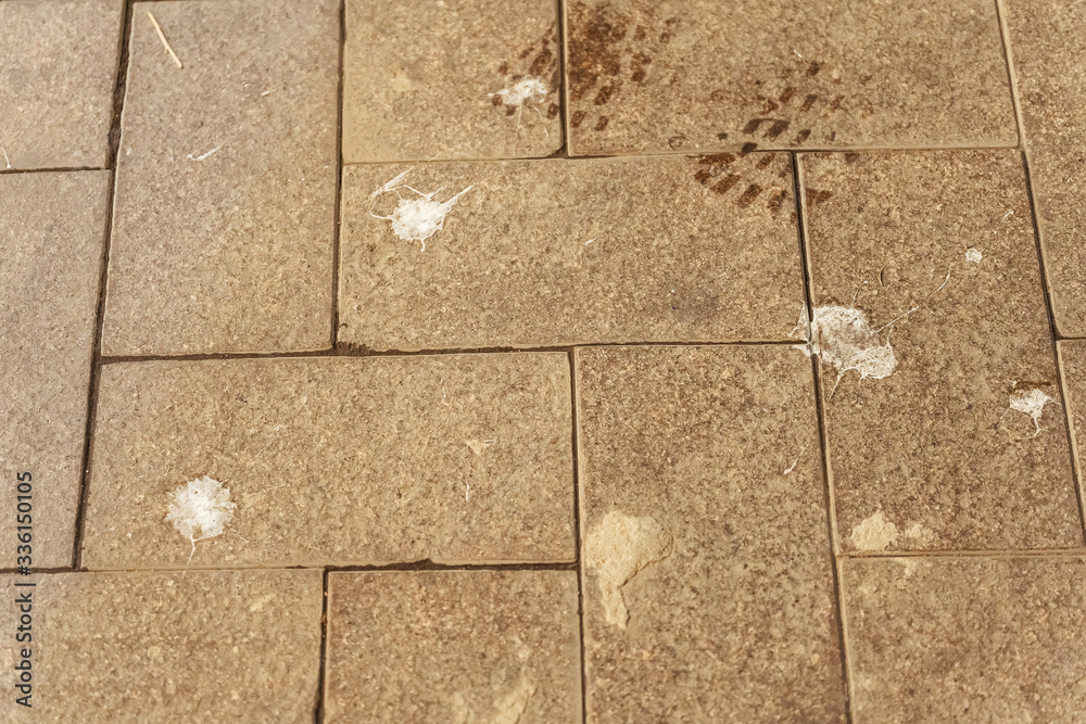 Bird droppings on granite tiles. Bird Poo on the streets of the city ...