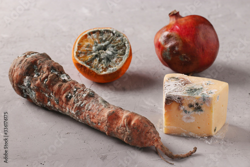 Rotten food Images - Search Images on Everypixel