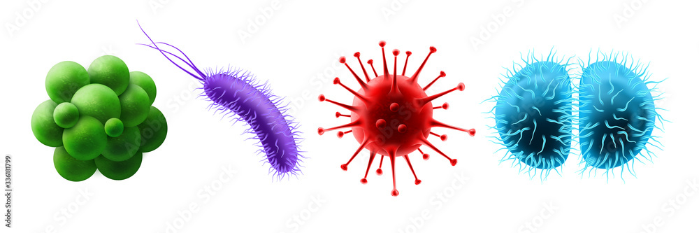 Set of isolated probiotic bacteria and virus, germ and microbe ...