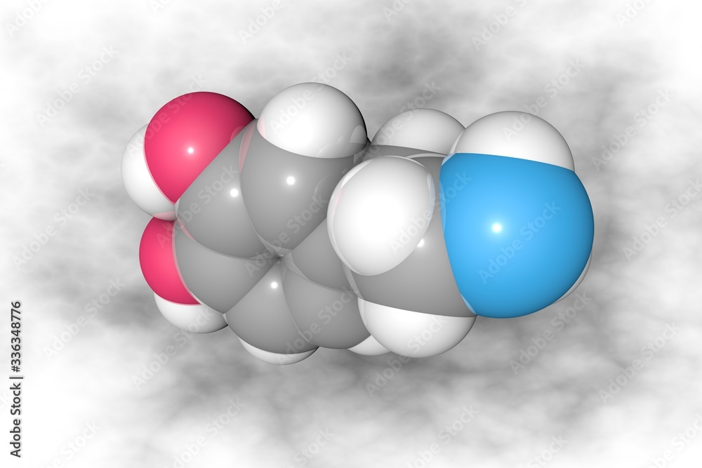 Space-filling molecular model of dopamine. Atoms are represented as ...
