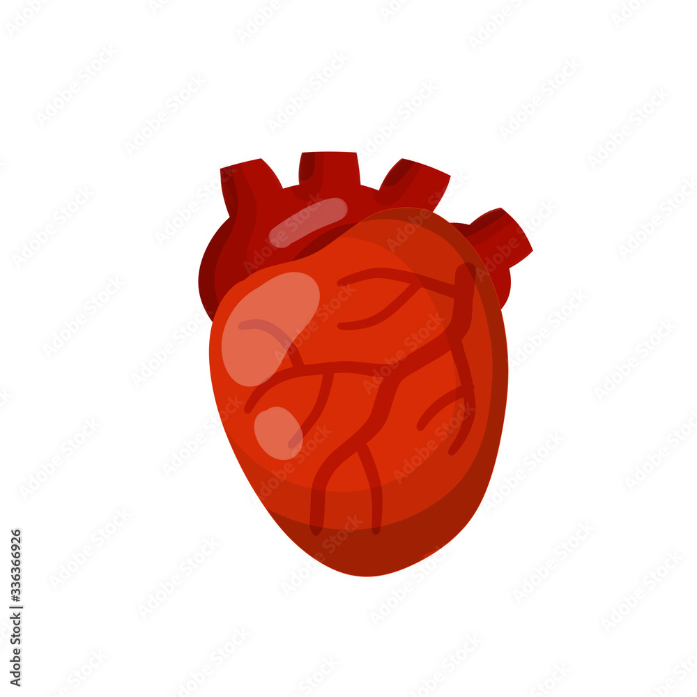 Image vectorielle Stock Heart. Human internal organ. Medicine and ...