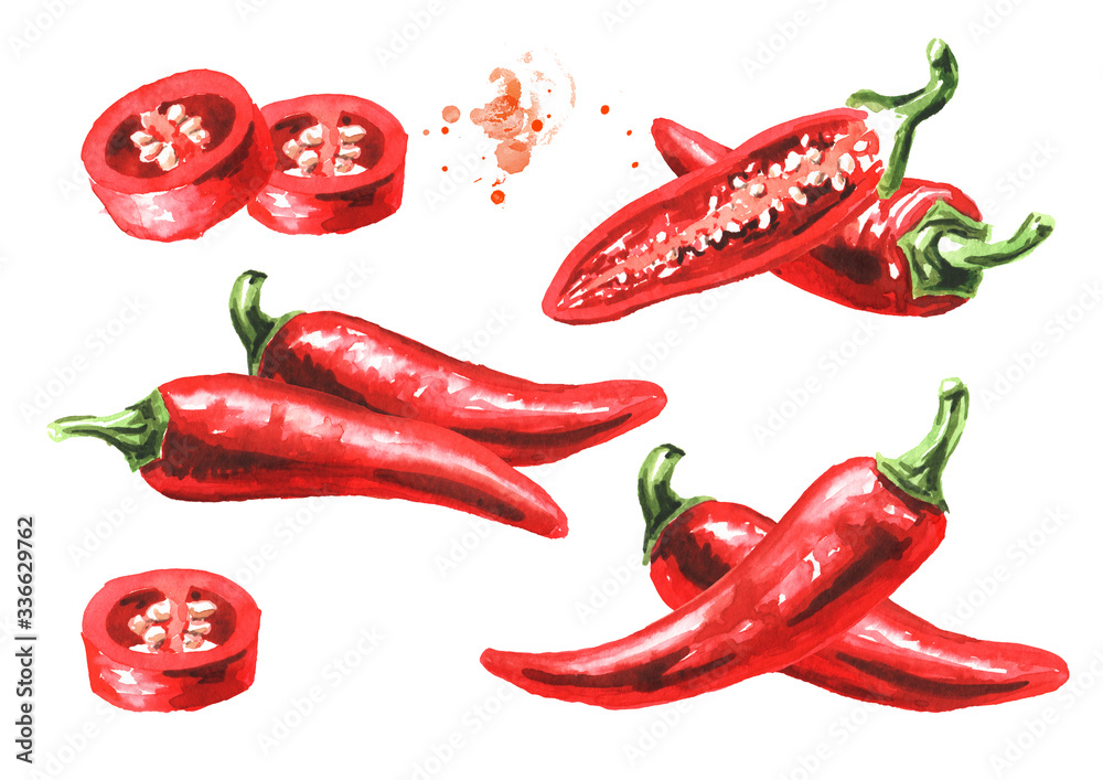 Red hot chili pepper, whole and cut pods set. Hand drawn watercolor ...