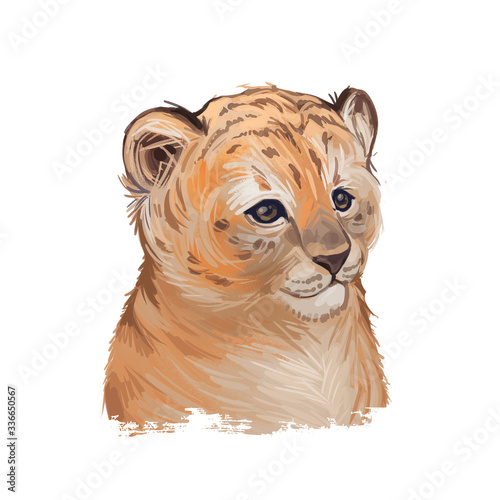 Tigon baby tabby animal watercolor portrait in closeup. Animalistic ...