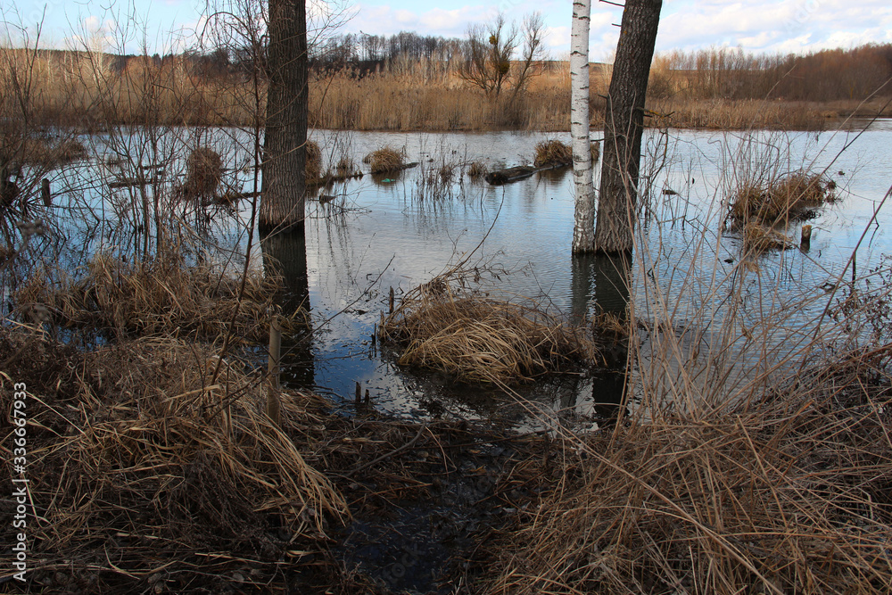Beautiful Picturesque Spring Landscape With Lake View. Hd wallpaper ...