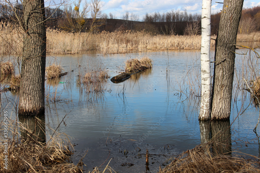 Beautiful Picturesque Spring Landscape With Lake View. Hd wallpaper ...