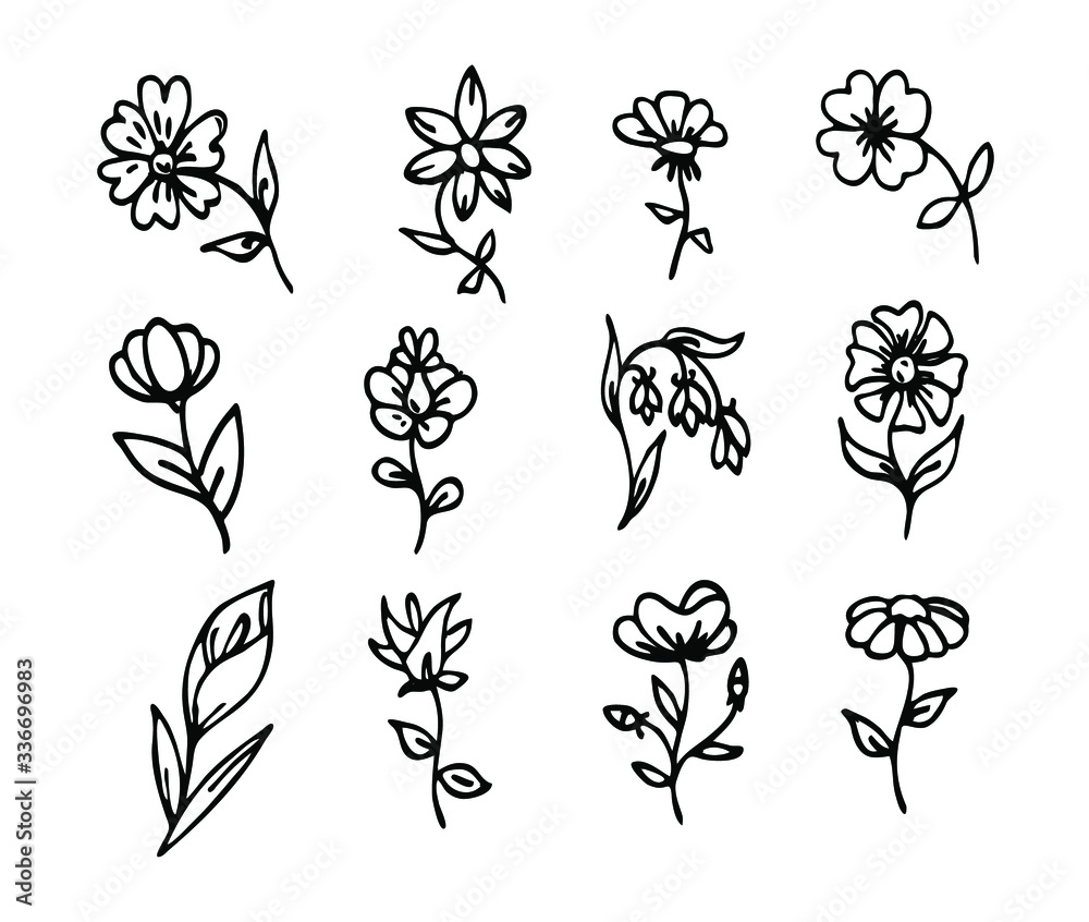 vector doodle floral set, hand traced drawing, collection of simple ...