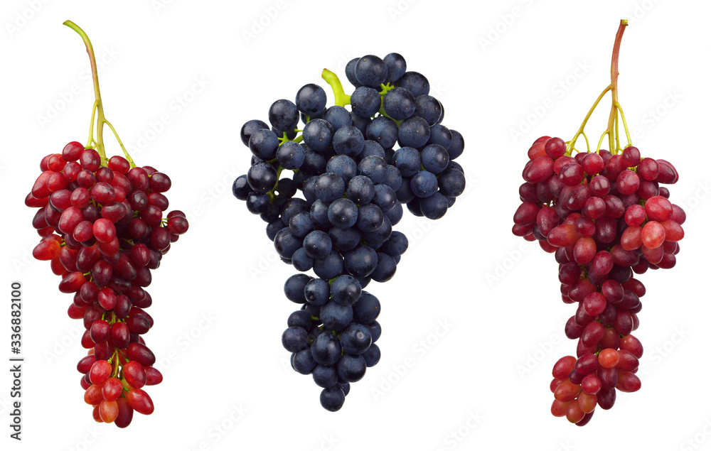 Cluster of grape. Bunch of grapes. Wine grapes. Collection with grapes ...