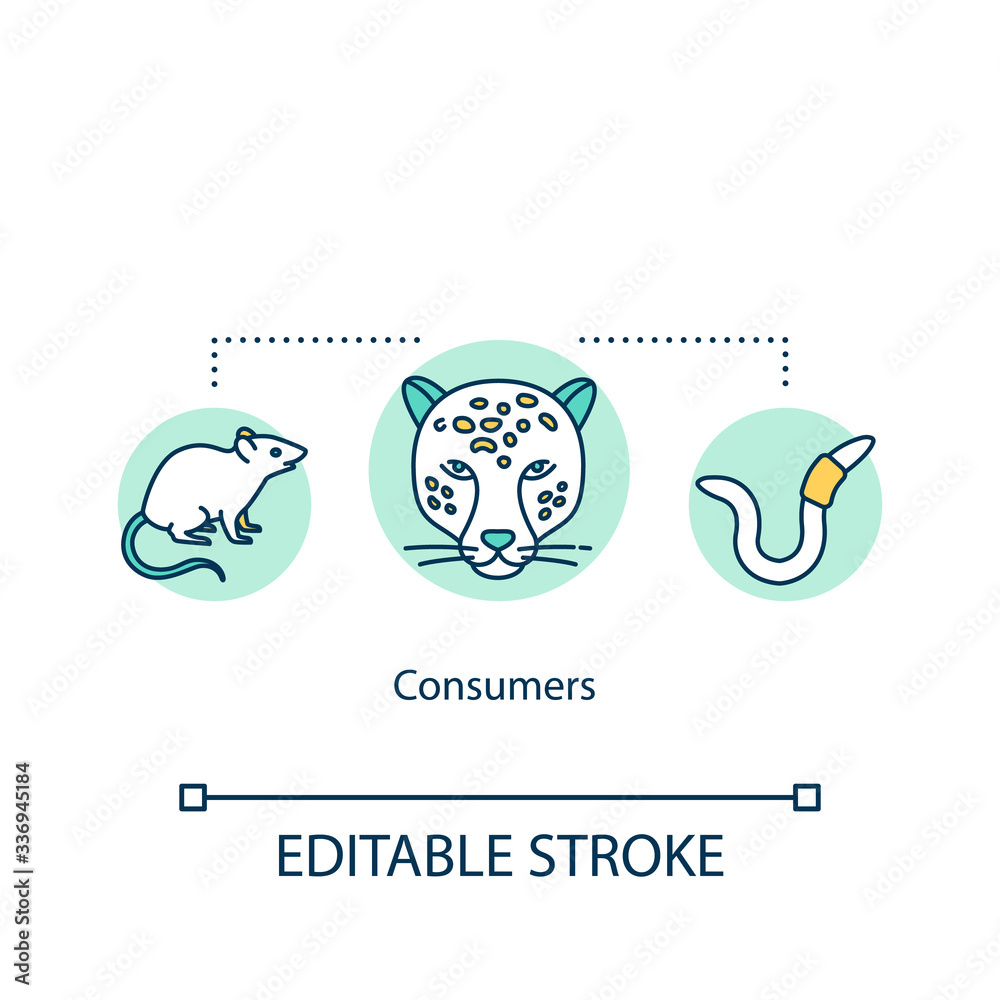 Consumers concept icon. Small and top carnivores animals. Biological ...
