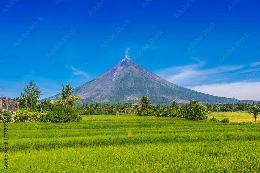 Rice fields near Mt. Mayon - also known as Mayon Volcano or Mount Mayon ...