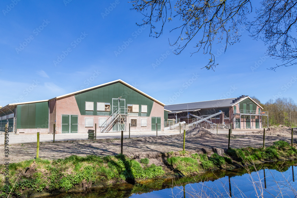 Large chicken farm with indoor facilites for poulry breeding and egg ...