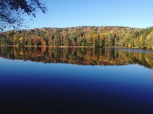 Lake Rabon, Laurens, SC Free Stock Photo - Public Domain Pictures