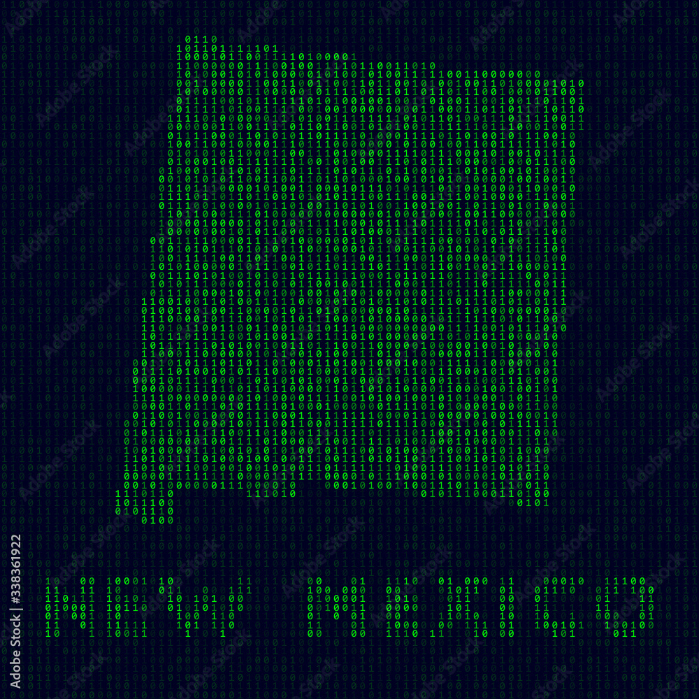 Digital New Mexico logo. US state symbol in hacker style. Binary code map of New Mexico with US ...