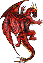 Red Dragon Free Stock Photo - Public Domain Pictures