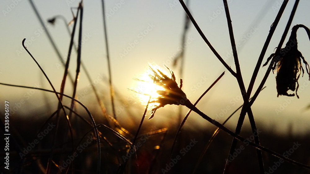 water, river, nature, stream, waterfall, rock, sea, rocks, stone ...